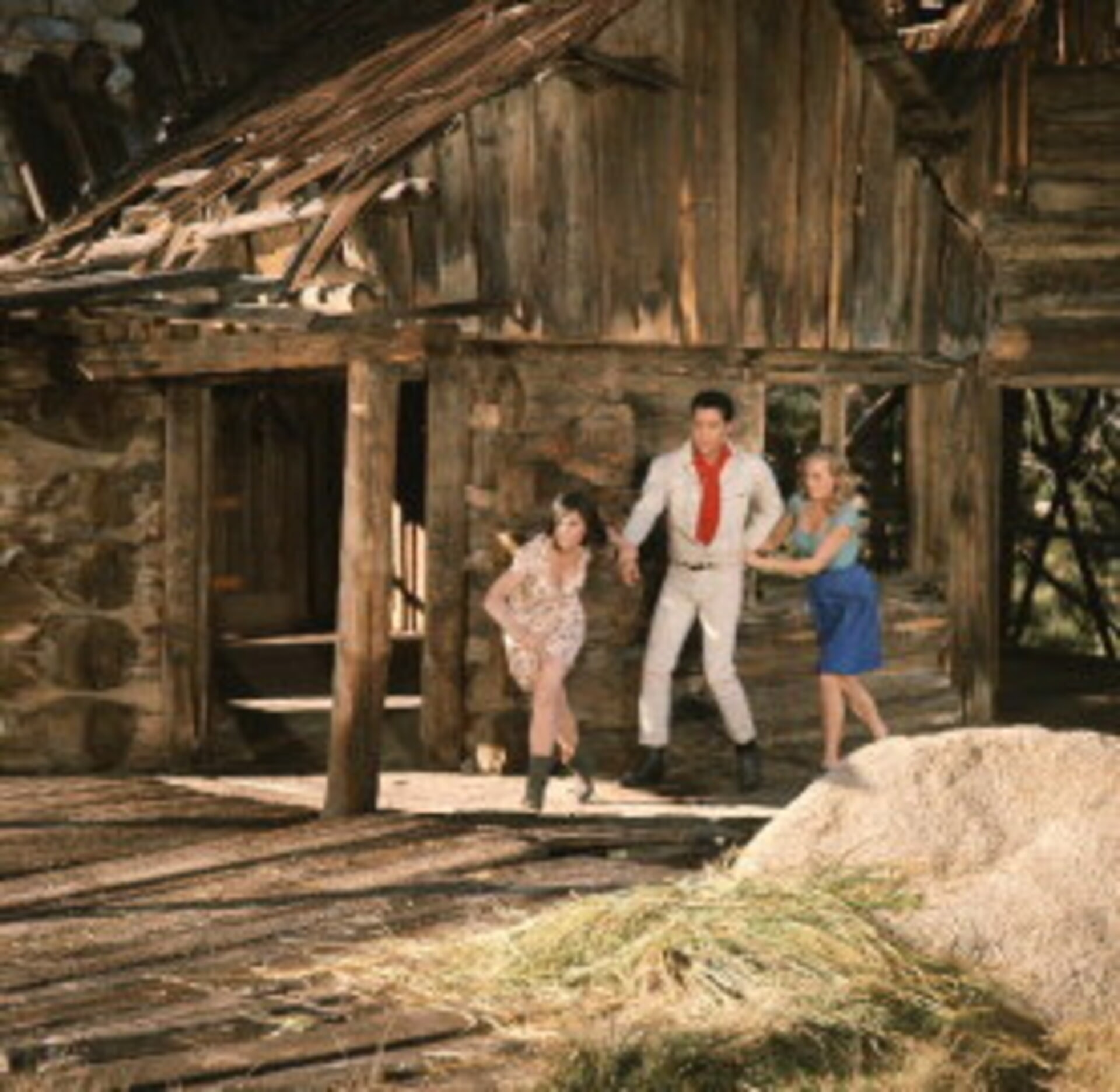 WarnerBros.com | Kissin' Cousins | Movies