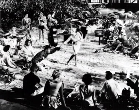 WarnerBros.com | Where the Boys Are | Movies