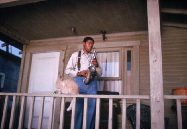 WarnerBros.com | Bird | Movies