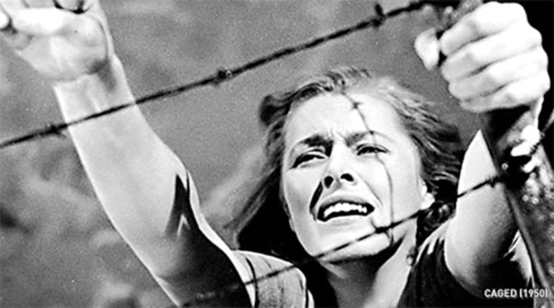 WarnerBros.com | Caged | Movies