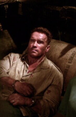 WarnerBros.com | Collateral Damage | Movies