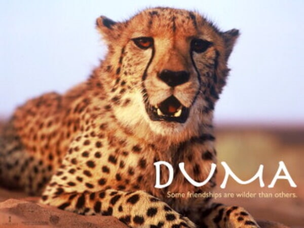 WarnerBros.com | Duma | Movies