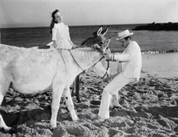 WarnerBros.com | Gigi | Movies