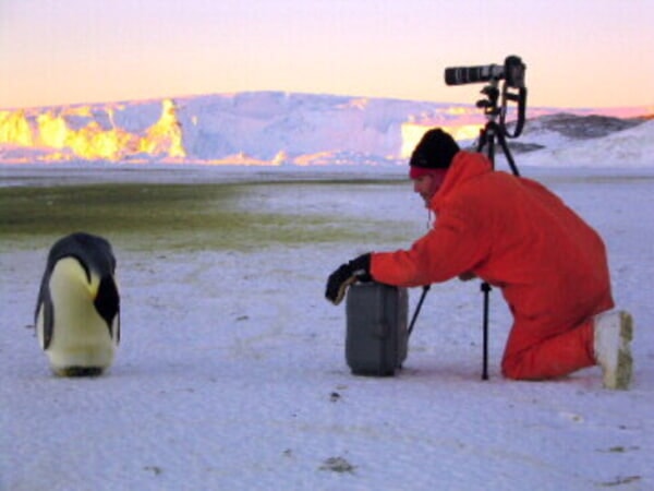 WarnerBros.com | March of the Penguins | Movies