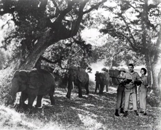 WarnerBros.com | Mogambo | Movies