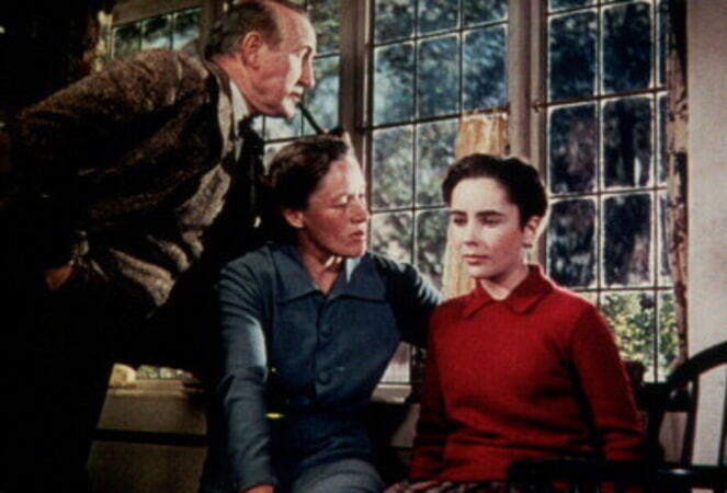 WarnerBros.com | National Velvet | Movies