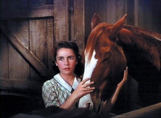 WarnerBros.com | National Velvet | Movies