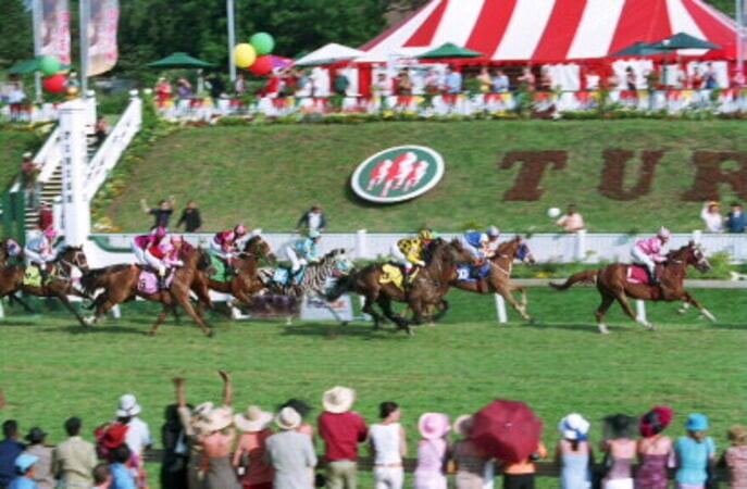 WarnerBros.com | Racing Stripes | Movies