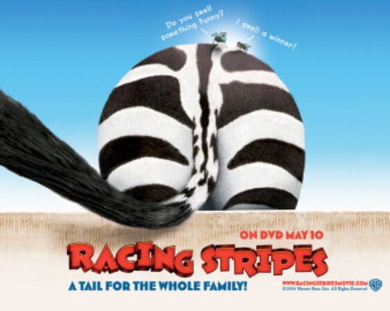 WarnerBros.com | Racing Stripes | Movies
