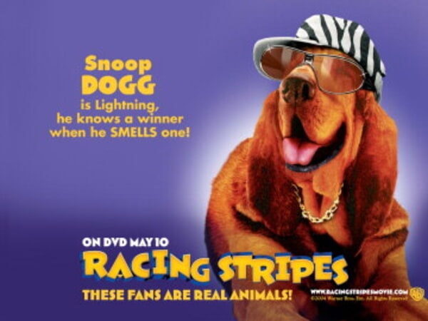 WarnerBros.com | Racing Stripes | Movies