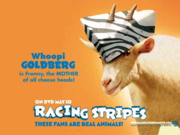 WarnerBros.com | Racing Stripes | Movies