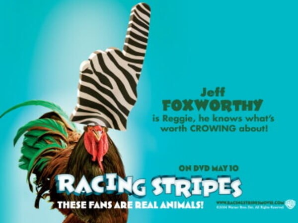 WarnerBros.com | Racing Stripes | Movies