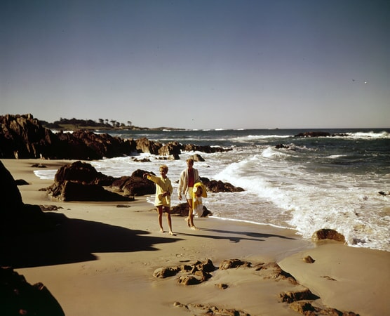 WarnerBros.com | A Summer Place | Movies