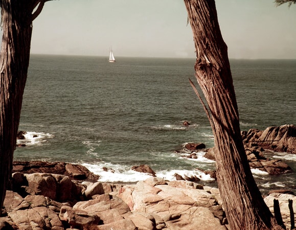WarnerBros.com | A Summer Place | Movies