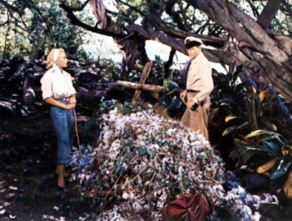 WarnerBros.com | The Sea Chase | Movies