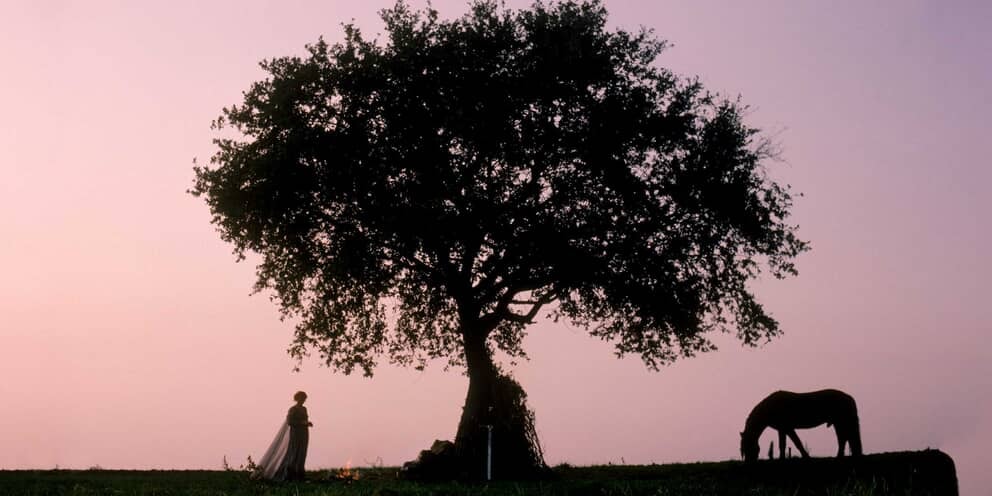 The Wolf In Ladyhawke